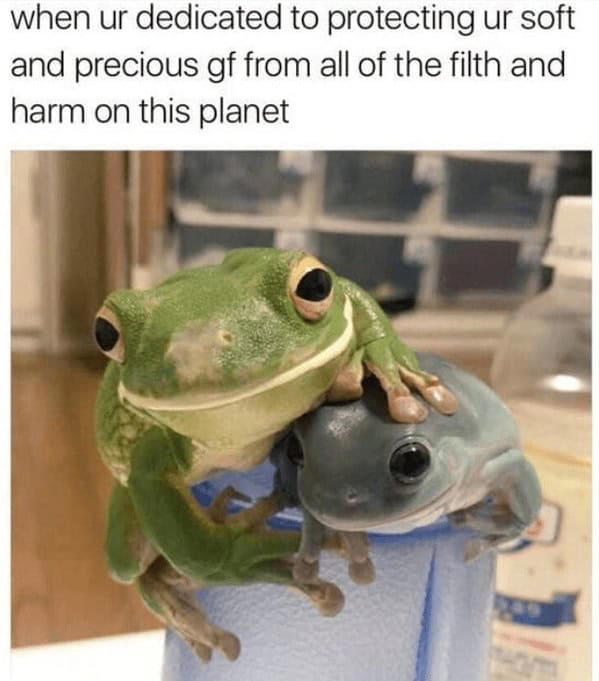 40 Wholesome Memes To Make Your Day A Little Brighter (April 9, 2025)