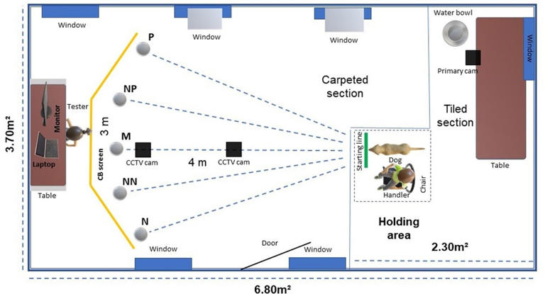 Do 'optimistic' versus 'pessimistic' medical detection dogs perform ...