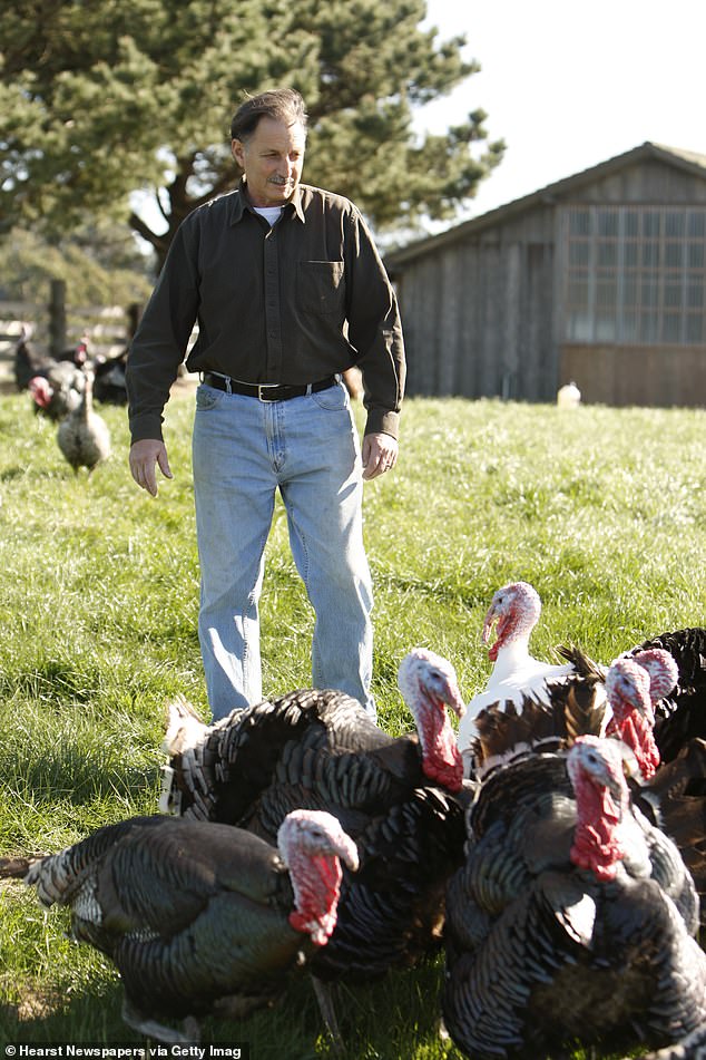 Legendary cowboy rips apart the US government over subtle change