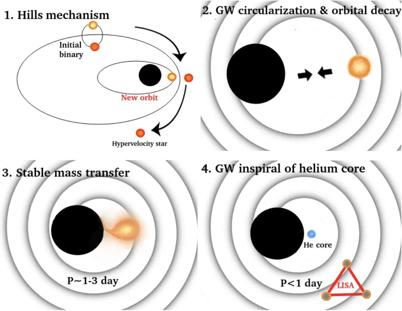 Supermassive black holes could strip stars down to their helium cores