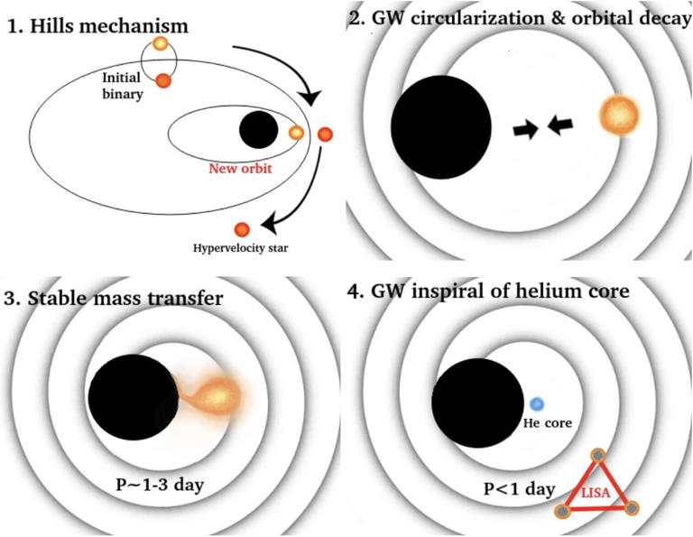 Supermassive black holes could strip stars down to their helium cores