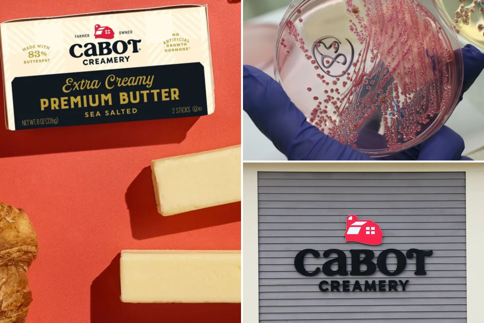1,700 pounds of Cabot Creamery butter recalled over possible poop ...