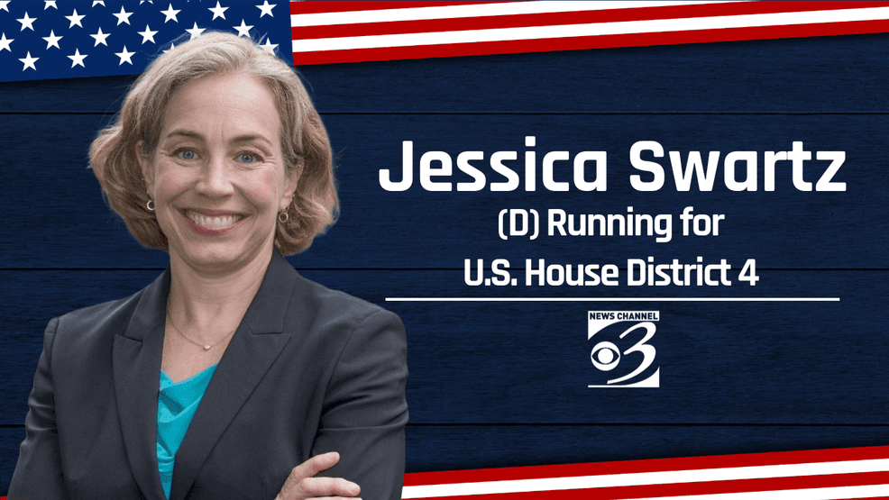Jessica Swartz announces 2026 bid against Rep. Huizenga for Michigan's ...