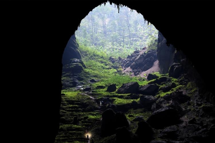 Une forêt, une rivière et même des nuages : bienvenue dans la grotte la ...