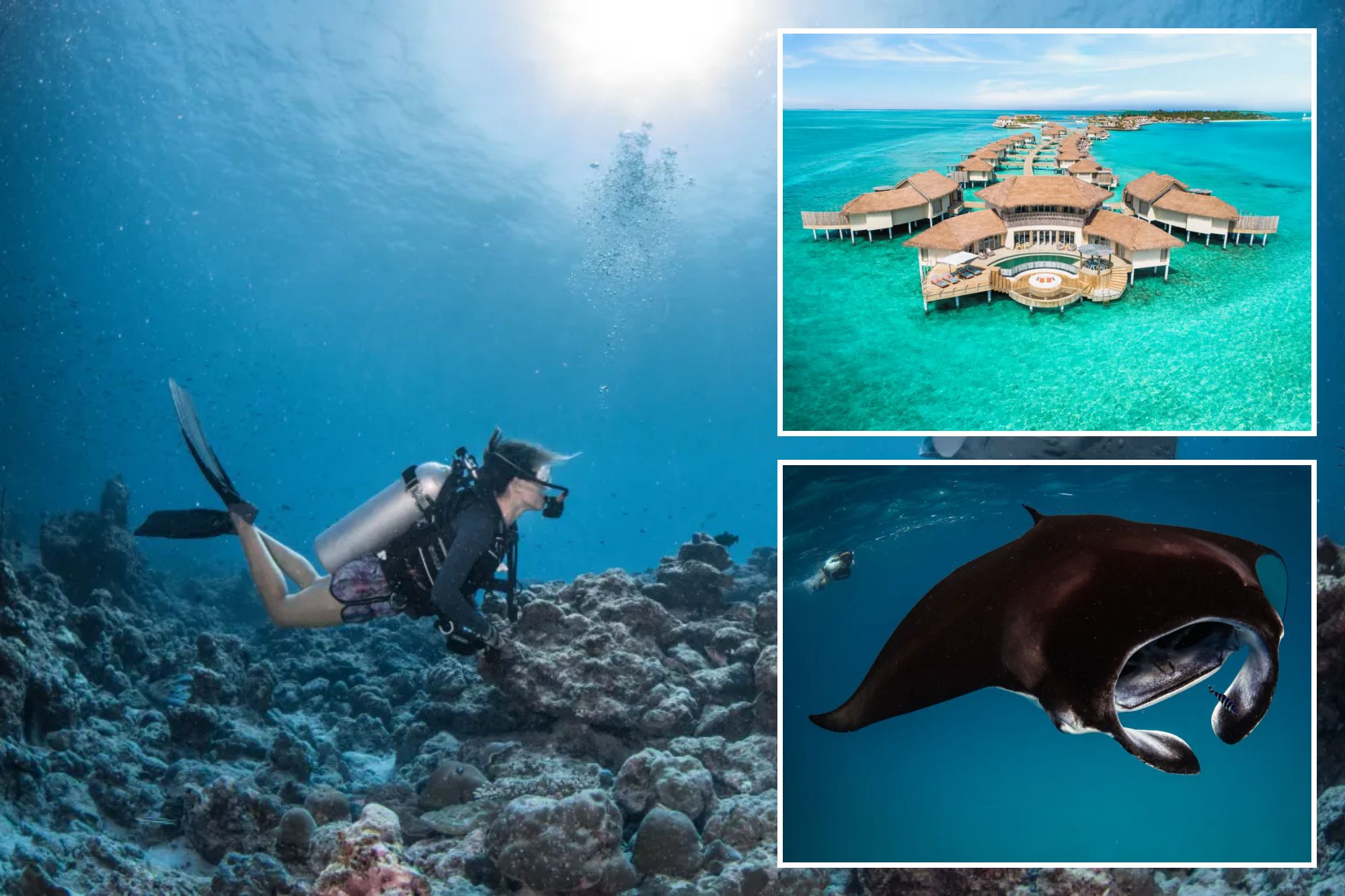 Why ‘devil’ diving in the Maldives does a world of good