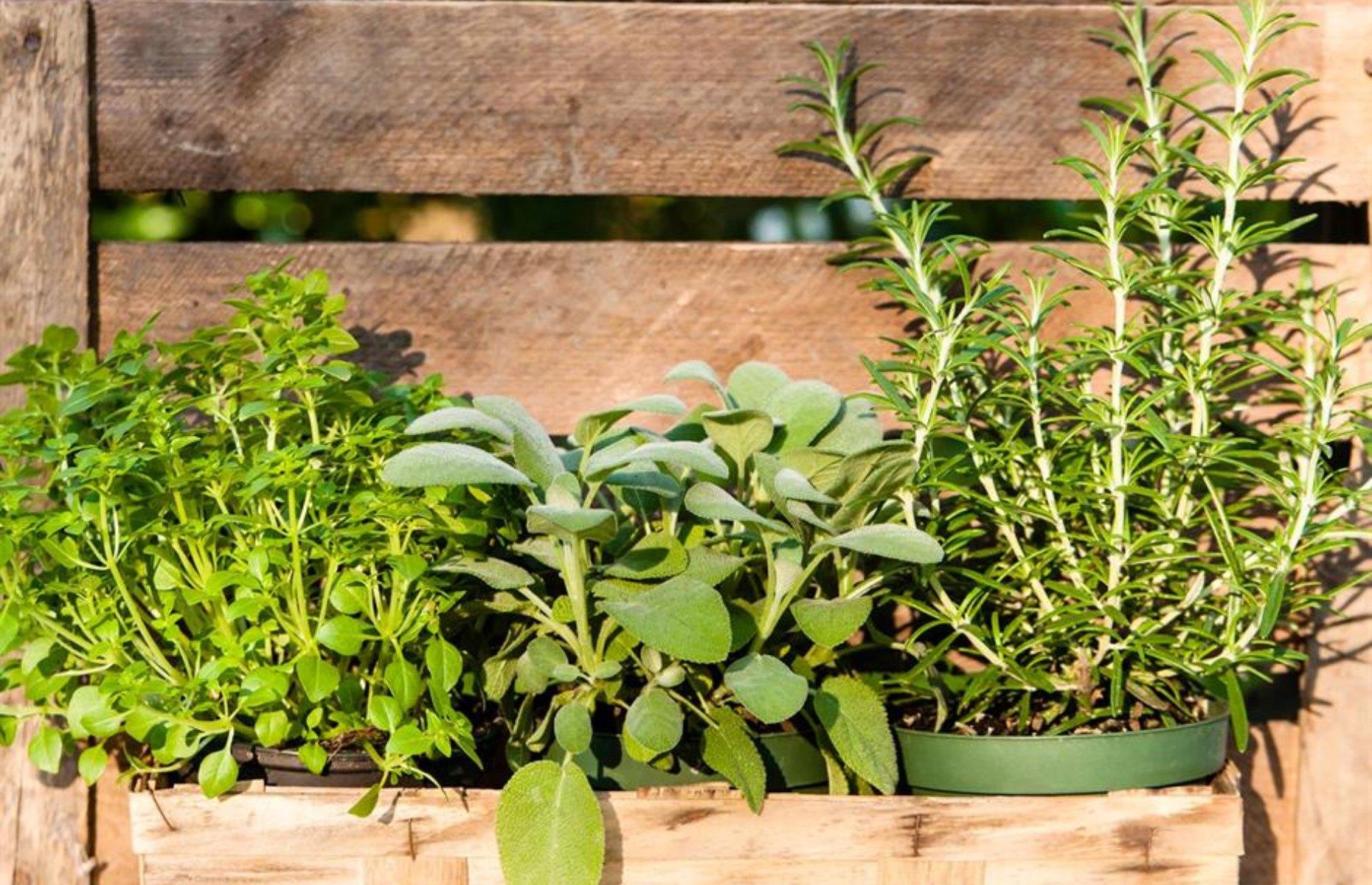 The 32 BEST sleep-inducing foods you need if you can't sleep