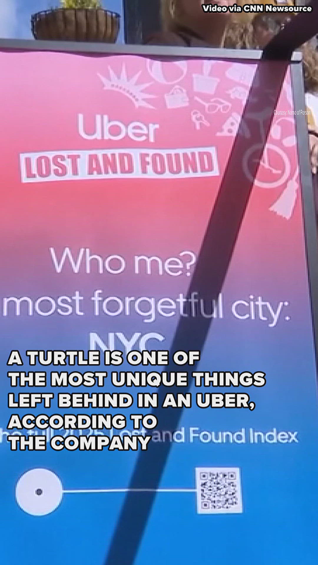 One of the most unique things left behind in an Uber is a turtle