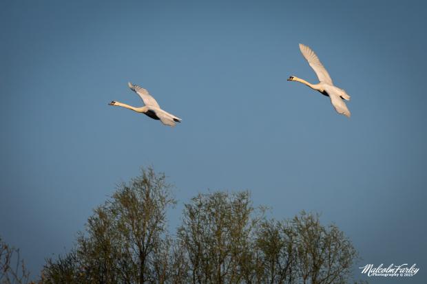 See these 12 great photos taken across Gwent by our readers