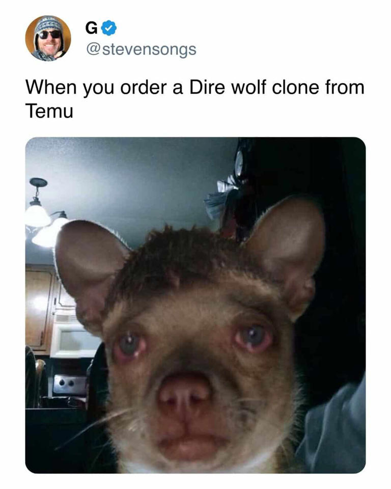 Scientists Just Brought Back Two Dire Wolf Puppies, A Species That Went ...