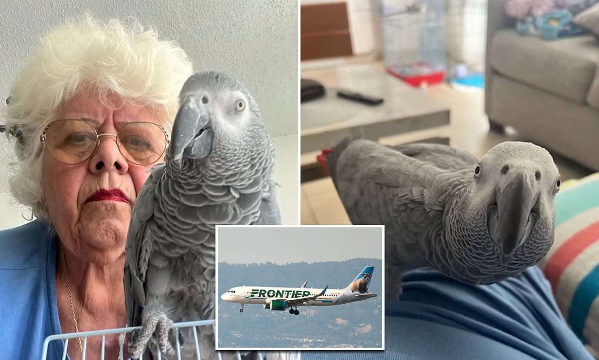 Elderly NYC woman told she must give up her emotional support parrot