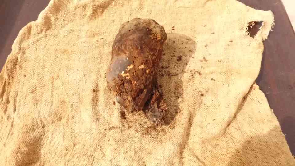 Astonishing Newborn Baby Elongated Skull Of Paracas Peru