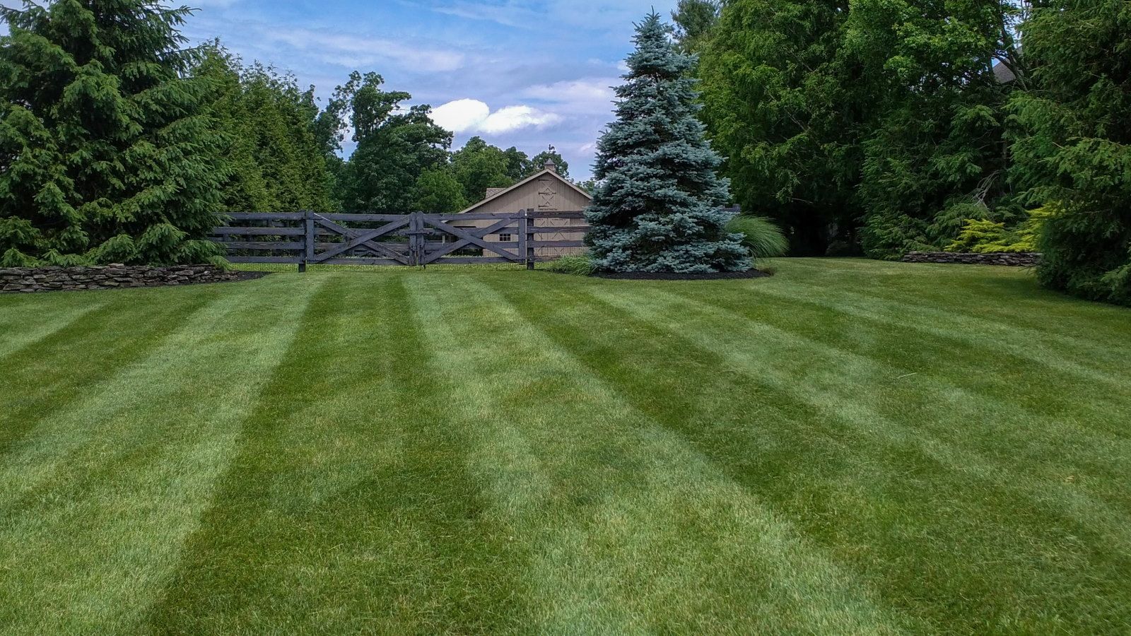 Your lawn can be lush, greener, and stronger by using this one natural ...