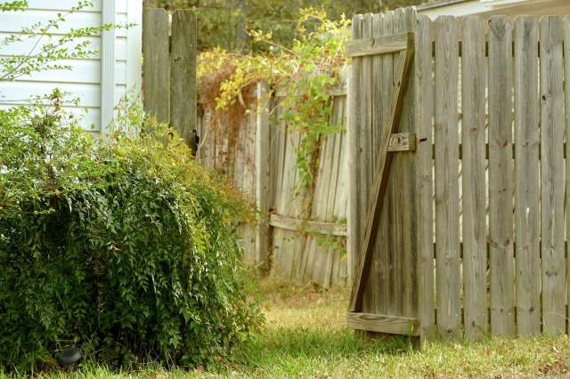 Homeowner devastated after neighbor's reckless actions destroyed ...