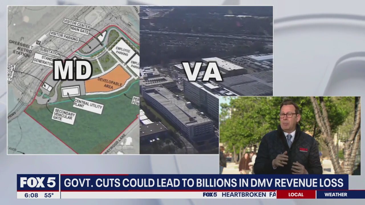 DOGE guts could lead to billions in revenue loss for DMV