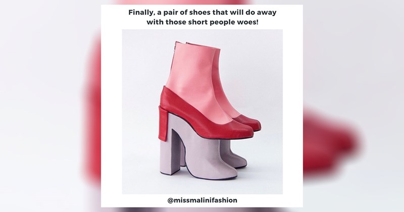 25+ Memes for Short Kings, Queens, and Fun-Sized Friends