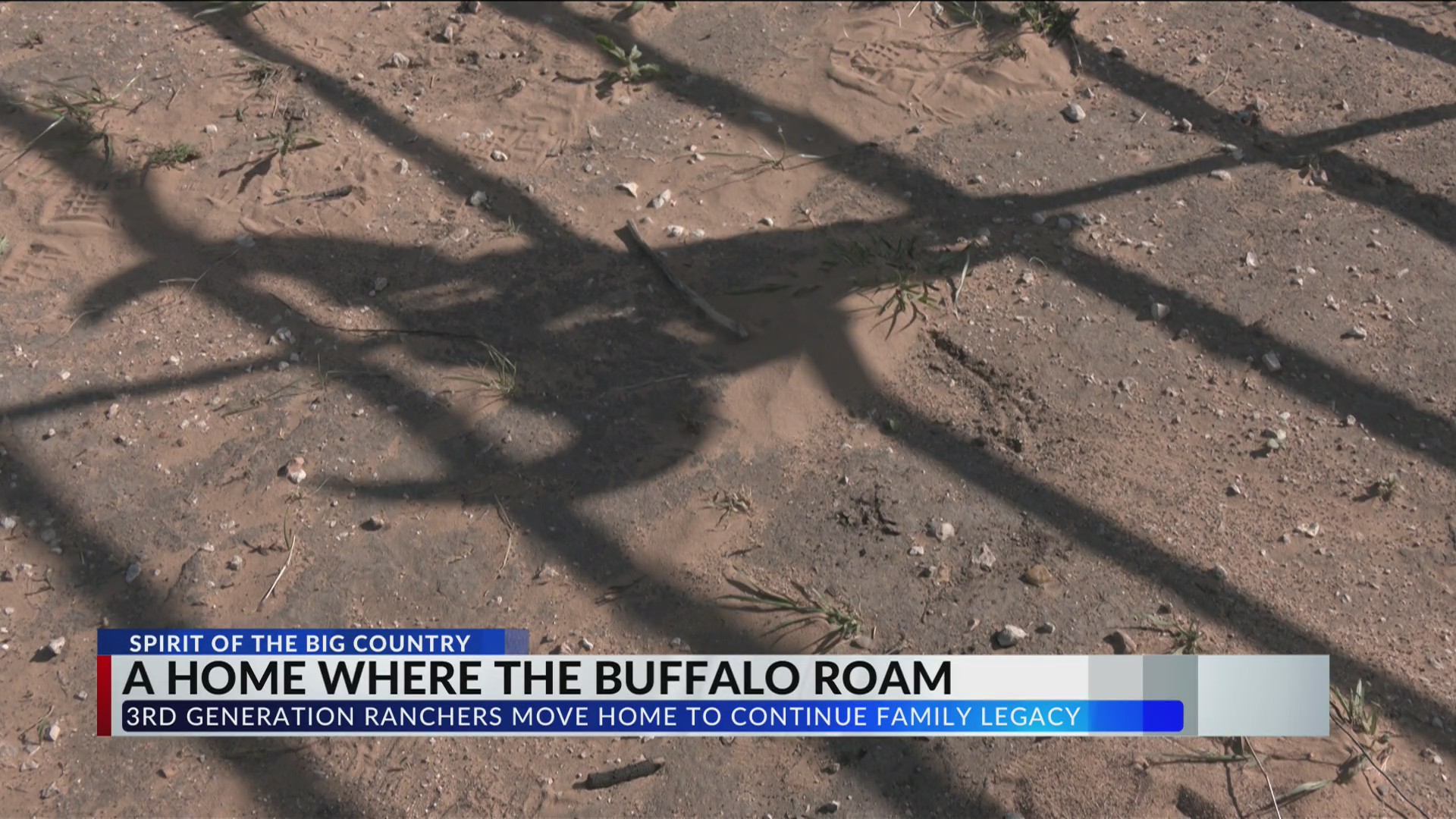 Third generation ranchers return to Taylor County to continue family legacy