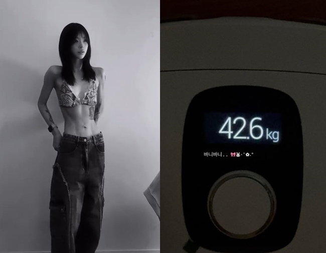 최준희, 뼛가죽 가시몸 부족하다더니 42kg 인증 “추구미” 달성 완료