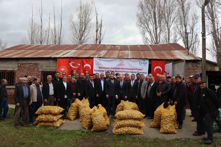 Çiftçilere hibe patates tohumu desteği
