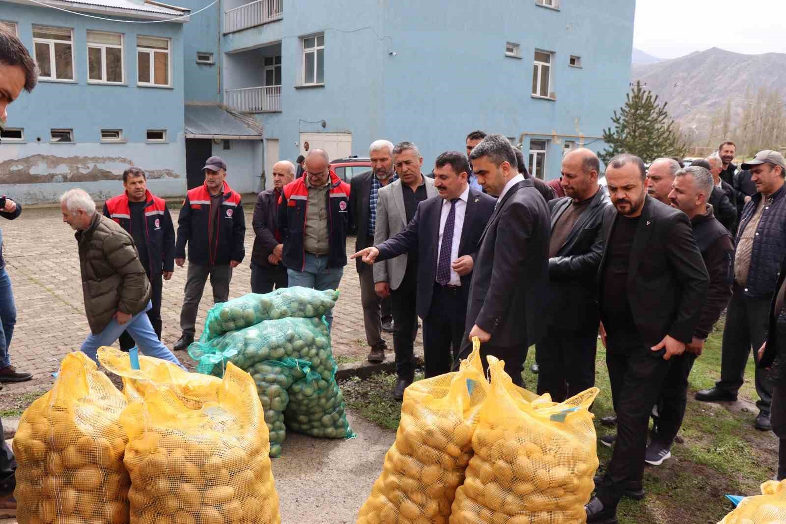 Çiftçilere hibe patates tohumu desteği