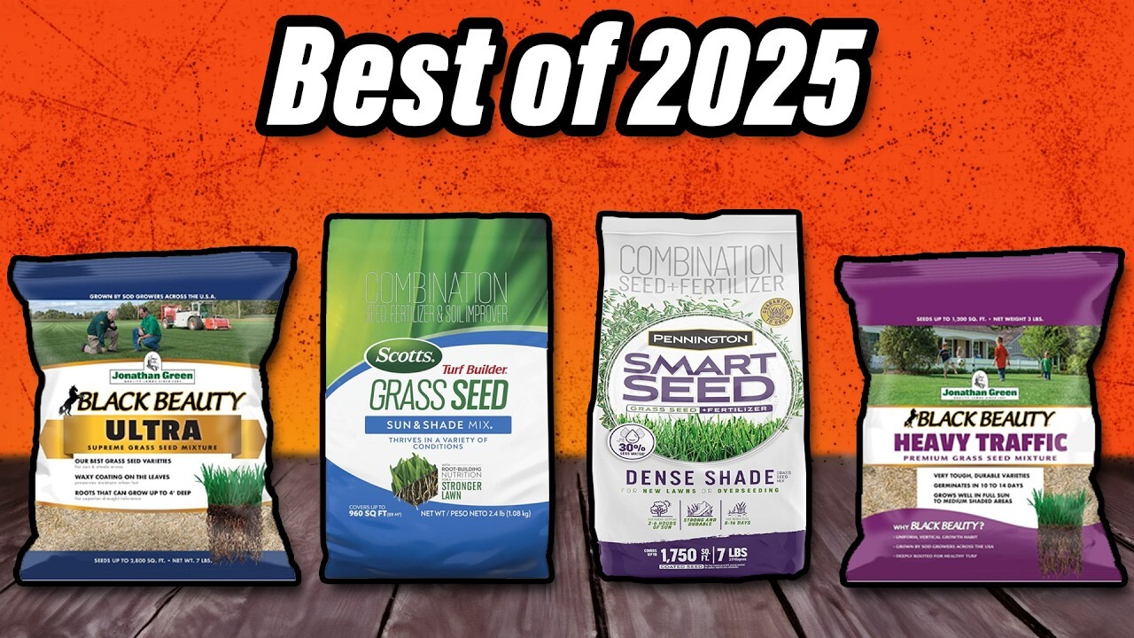 Best Grass Seeds 2025 - The Only 10 To Consider Today