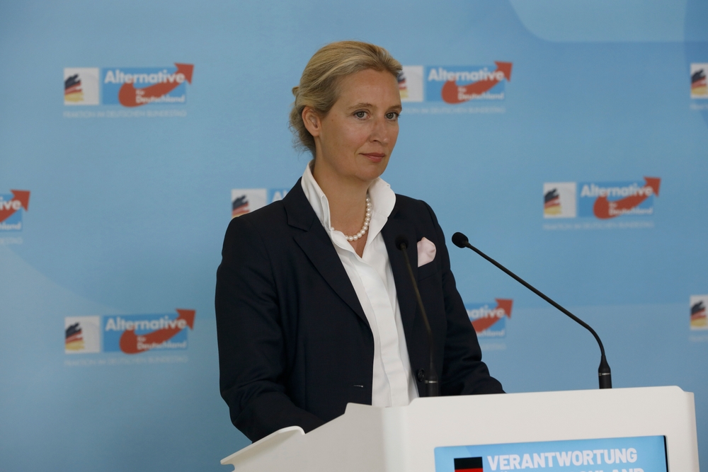Far-Right AfD Takes Lead in German National Poll for the First Time
