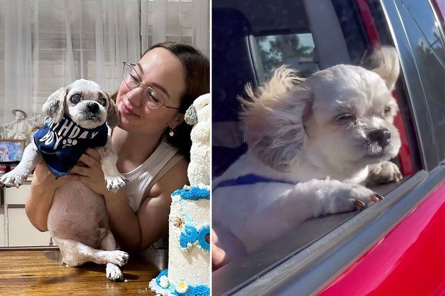 Melissa Ricks mourns loss of longtime furbaby Potchi: ‘You were by my ...