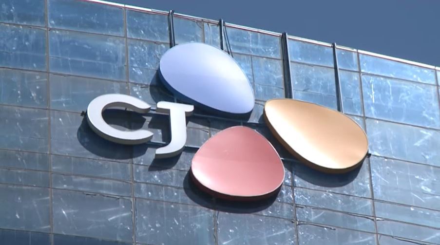 CJ 효자된 올리브영…지주사와 합병설 솔솔 [CEO 업&다운]