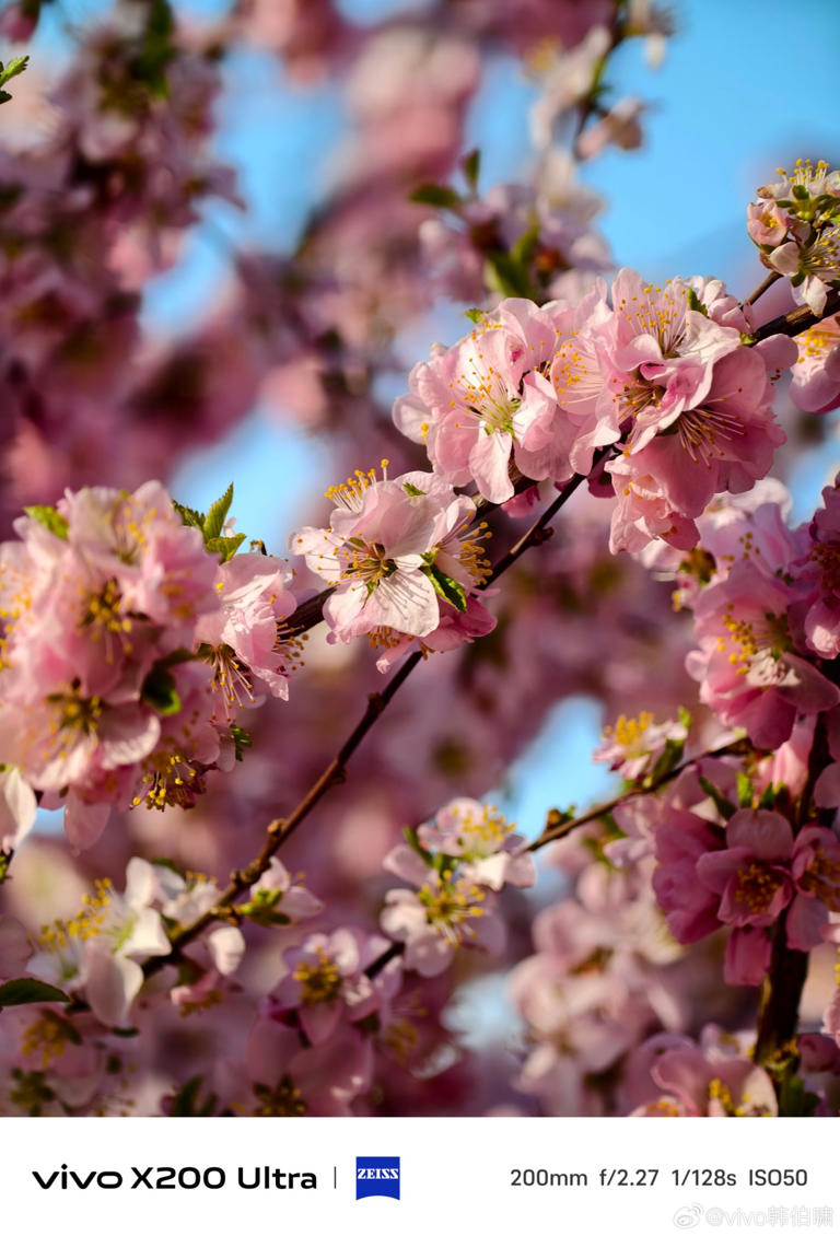 Zeiss & Vivo team up for X200 Ultra's 200MP external lens