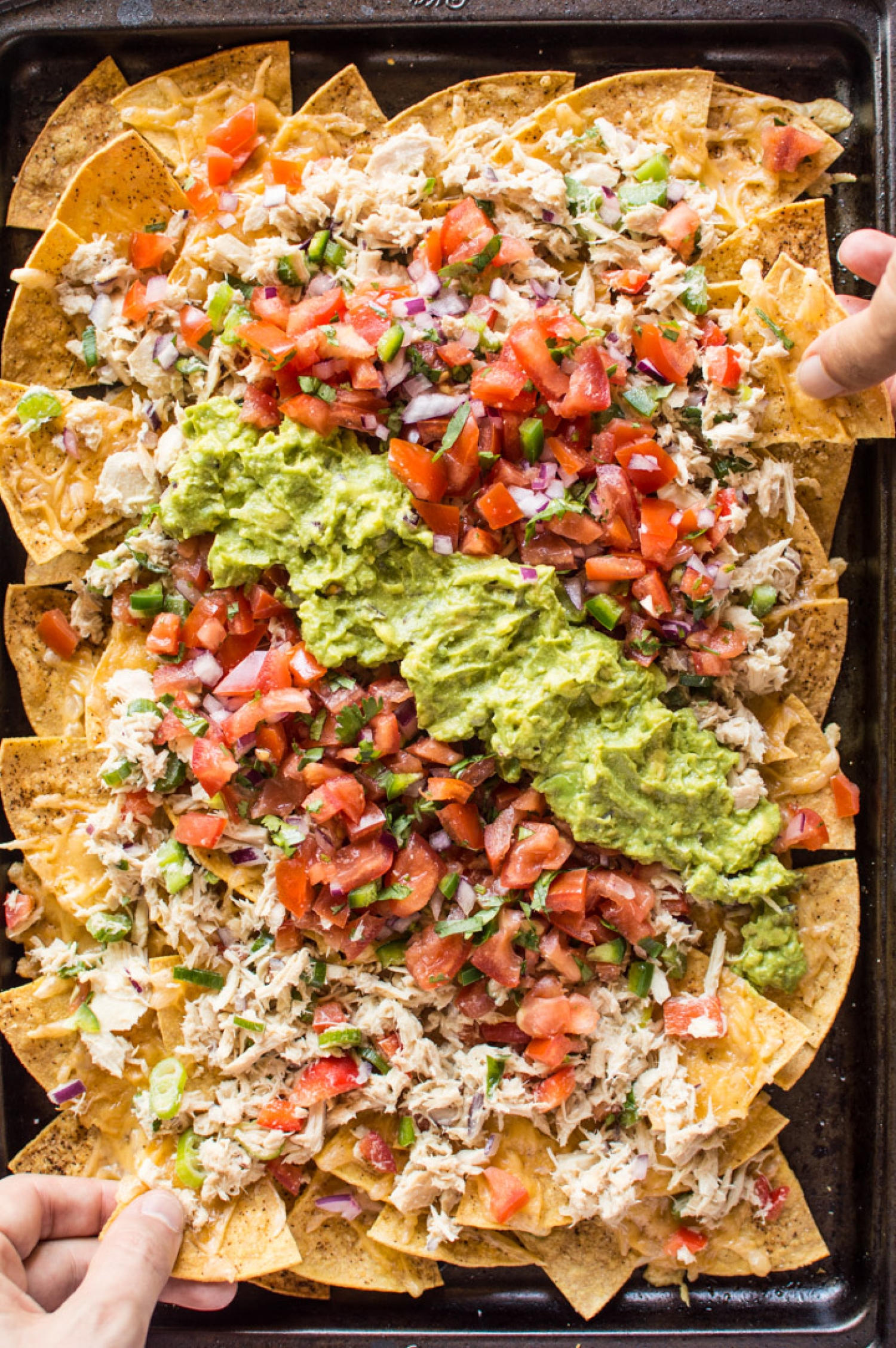 Delicious Canned Tuna Recipes that Won't Break the Bank