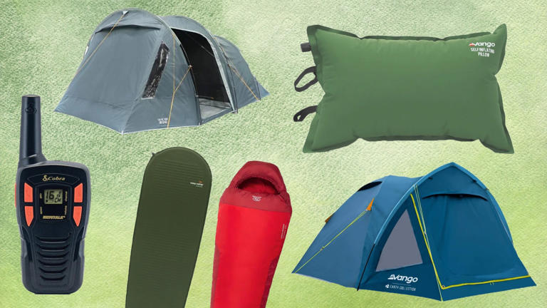 Alice Tan Ridley, ‘America’s Got Talent’ singer and Gabourey Sidibe’s ...