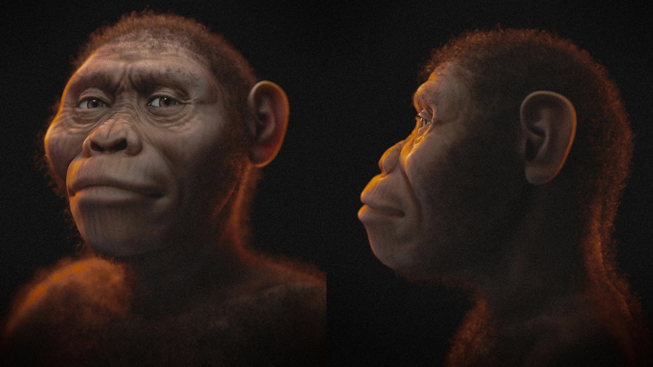 Meet Lucy: Scientists reveal what one of our earliest human ancestors ...