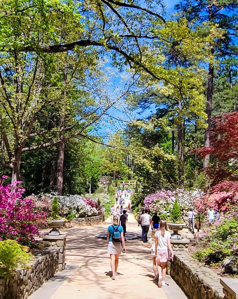 Best things to do in Raleigh this weekend (Jan 26 – Feb 1, 2026)