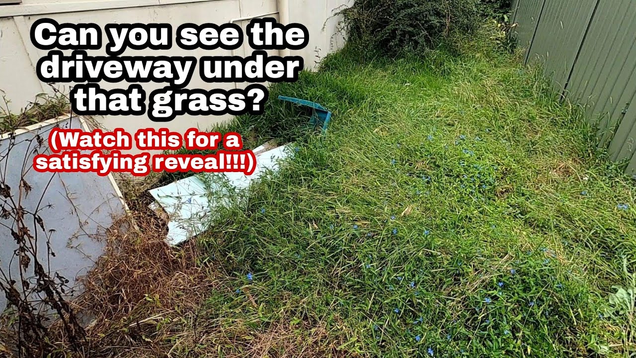 Another Satisfying Driveway Rescue—Watch This Jungle Disappear!