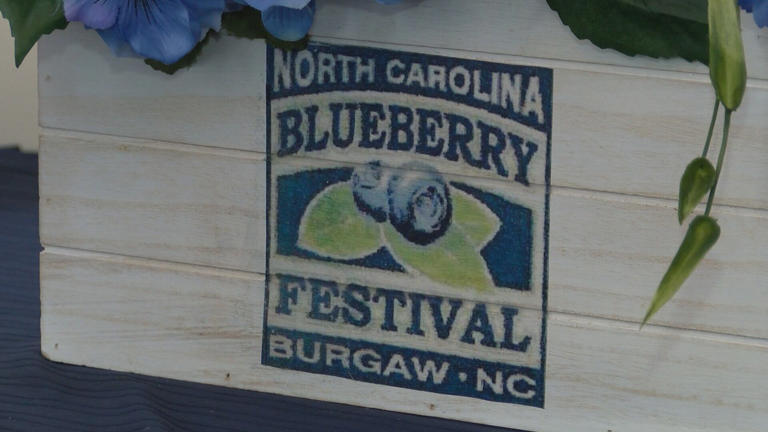 22nd annual NC Blueberry Festival set for June