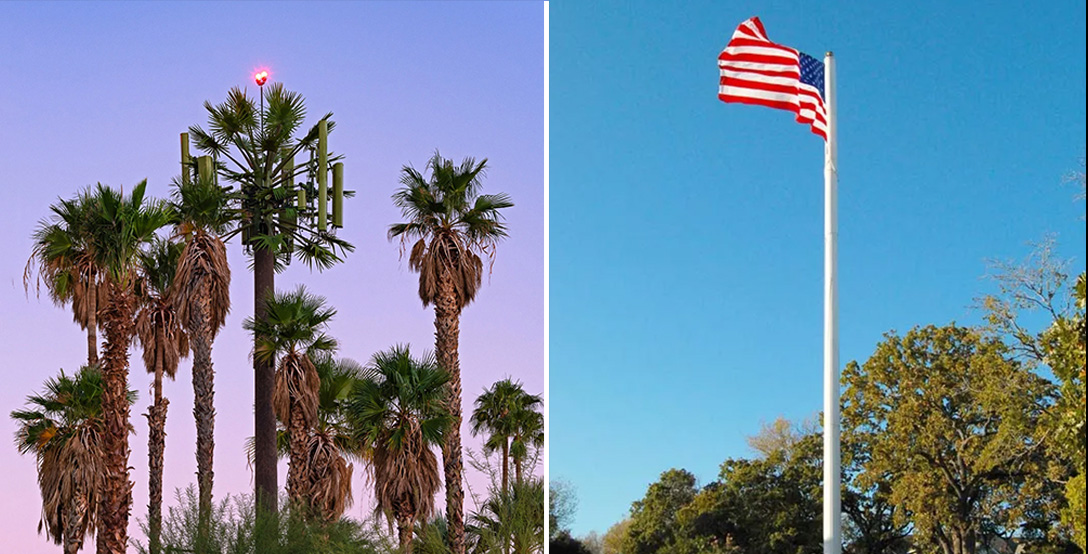 The Best and Worst of Global Telephone Pole Camouflage