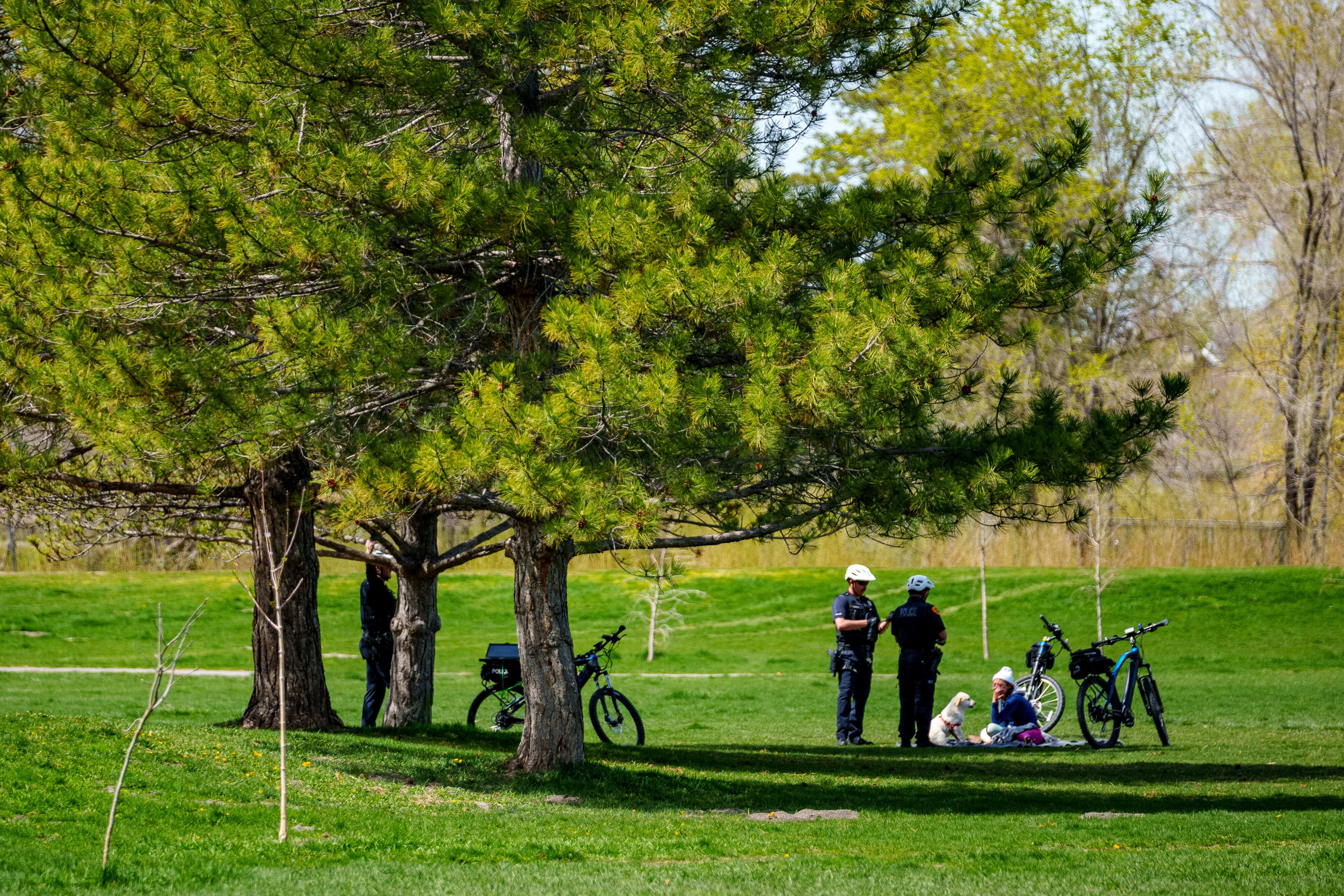 SLC says its public safety plan is working despite rising violent crime ...
