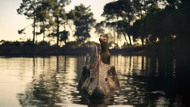 Walking With Dinosaurs - Trailer