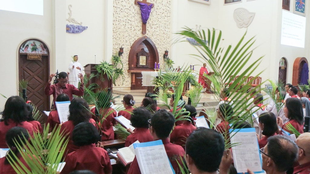 Makna Daun Palma Bagi Umat Katolik: Simbol Damai dan Keselamatan