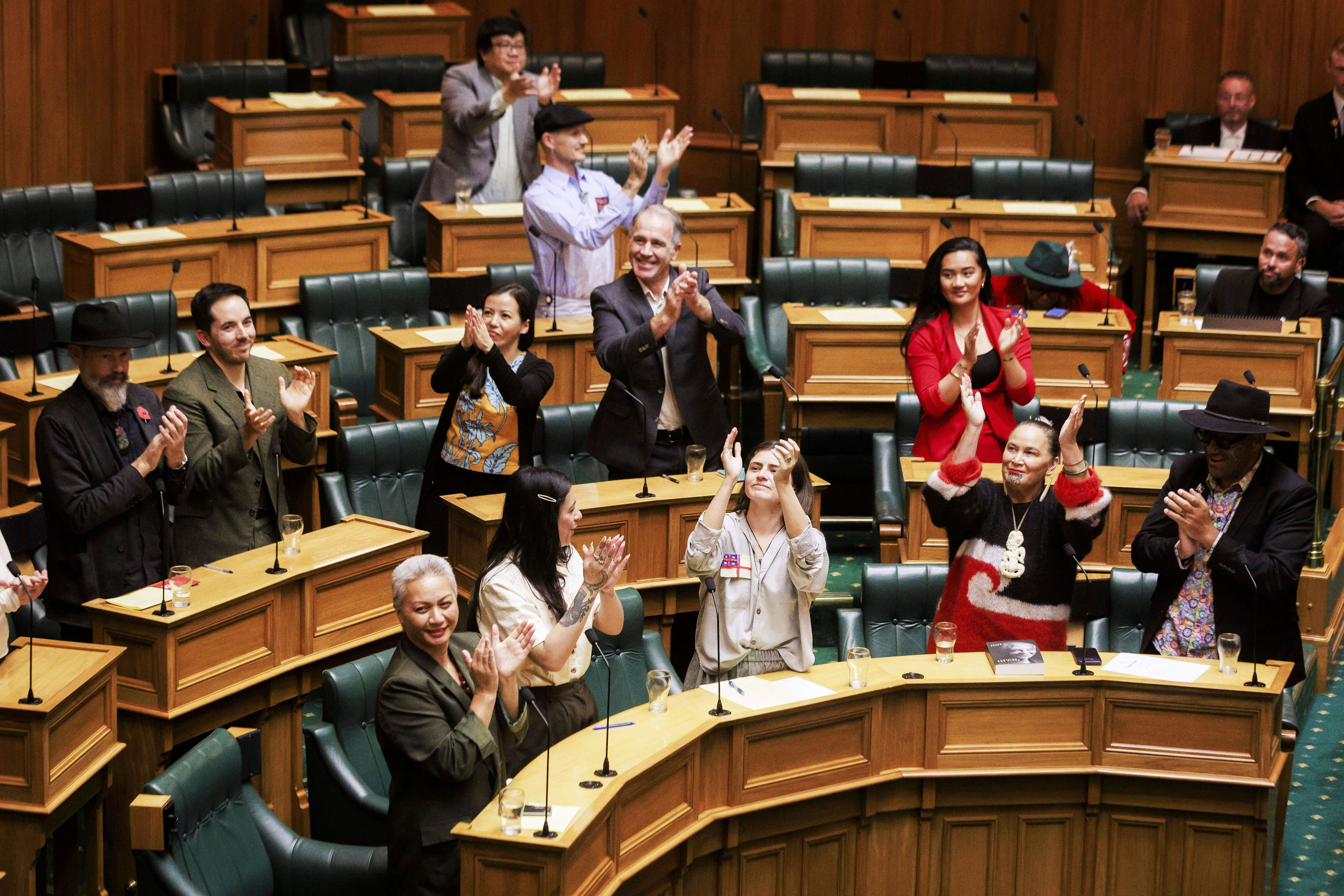 Controversial bill that sparked Maori rights protests heavily defeated ...