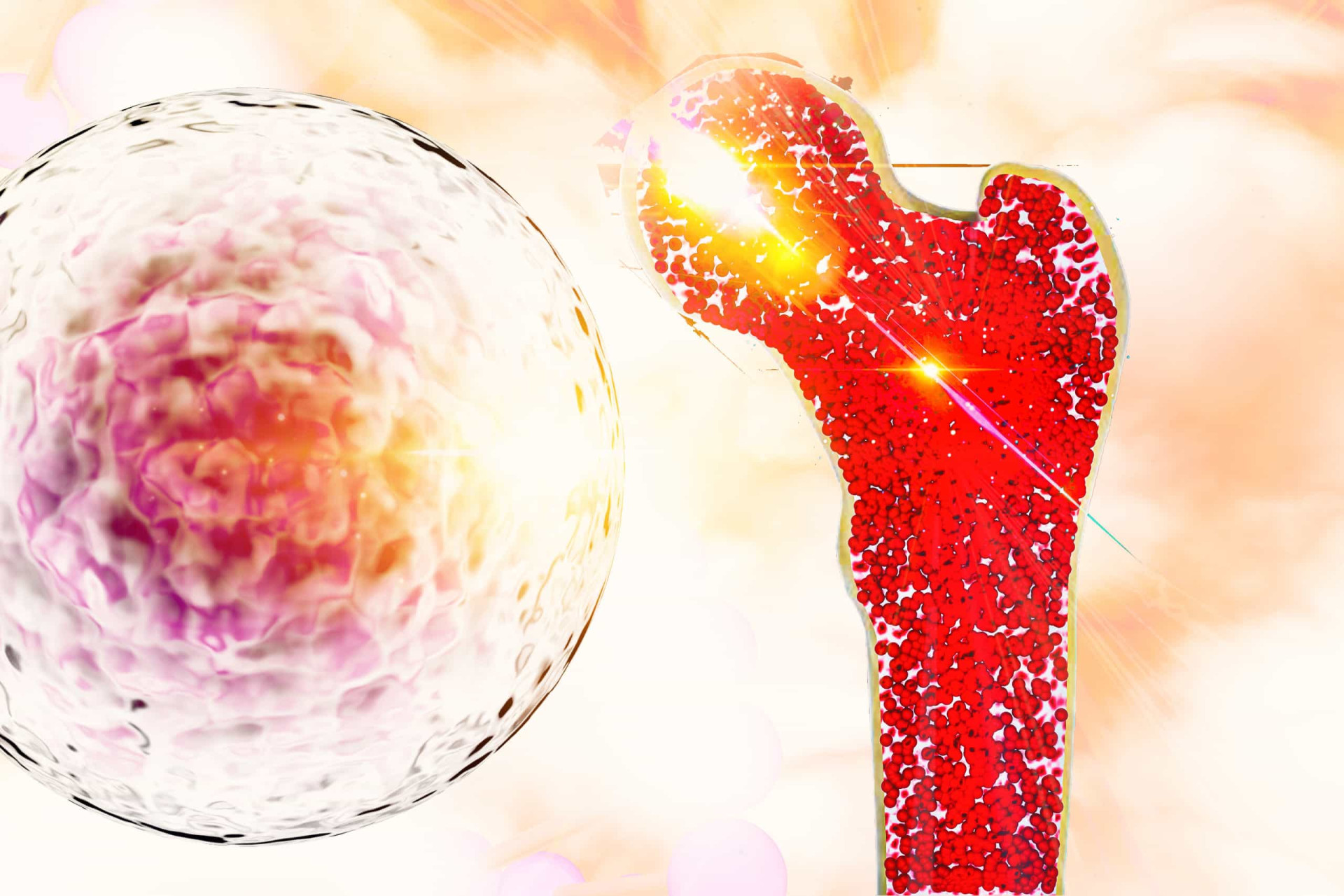 Bone and blood cancer: what you need to know