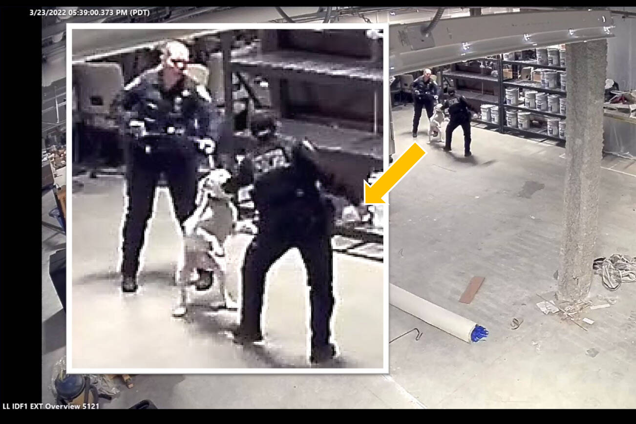 Jury awards $3.25M in dog bite verdict against Mountlake Terrace