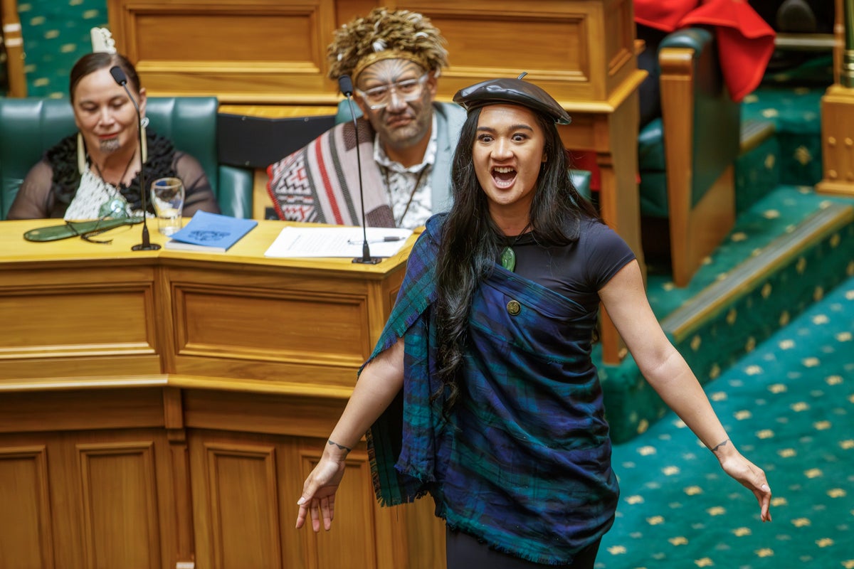 Controversial bill that sparked Maori rights protests heavily defeated ...