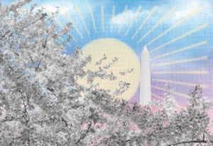 Virginia Pilot Sues X Influencer; Trump Plans Retribution Against ...