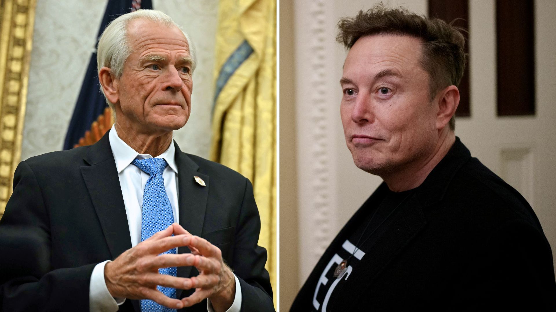 War in Trumpland: Elon Musk calls Peter Navarro a ‘moron’ and ‘dumber ...