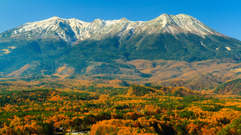 Dangerous Vacation Spots In Japan