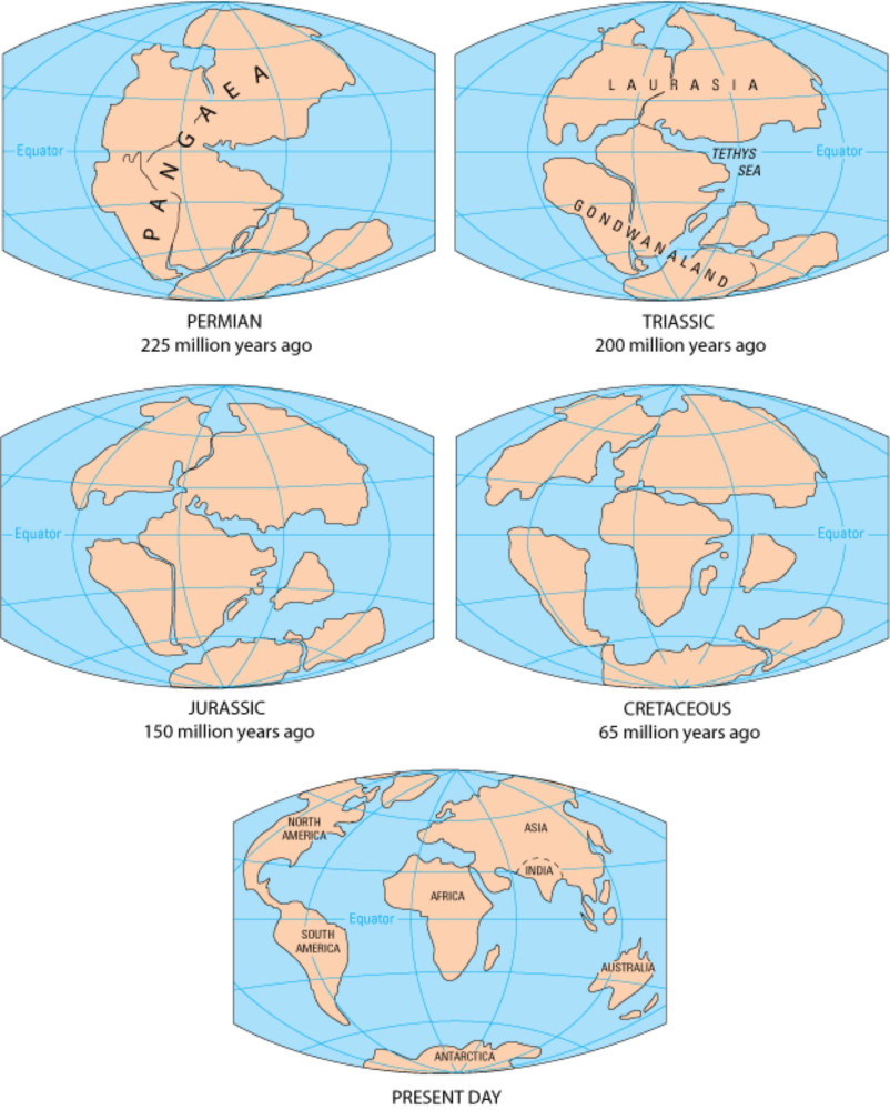 Scientist warns of changes in the Atlantic Ocean