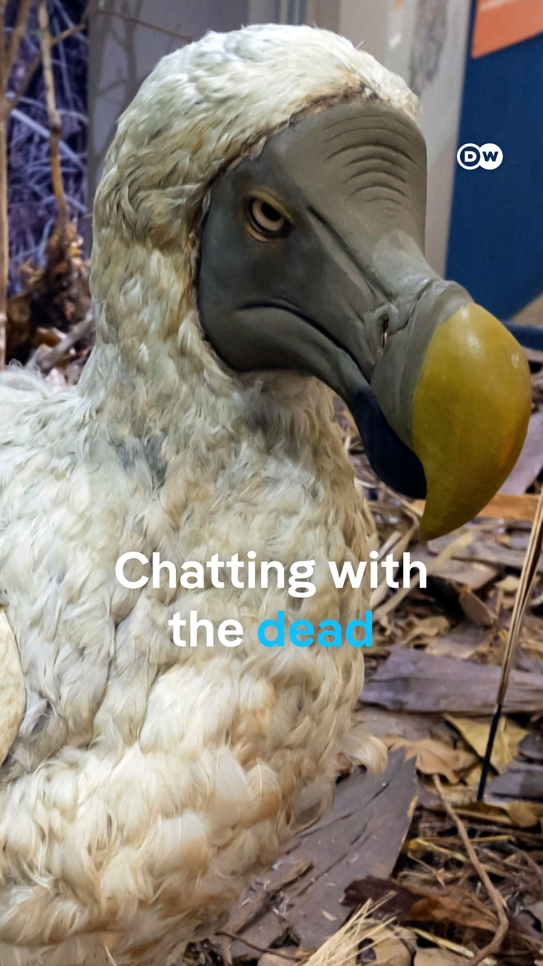 Chatting with the dead