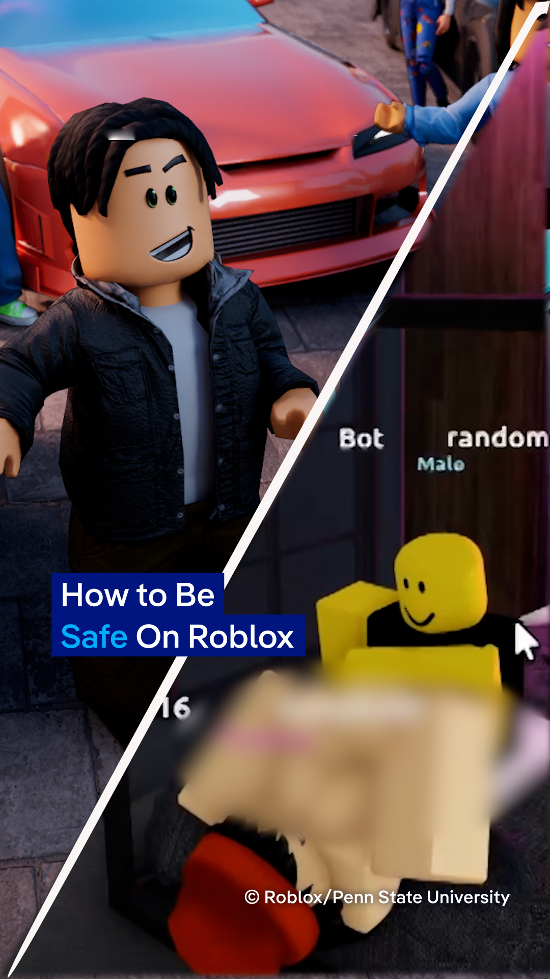 How can you be safe on Roblox?