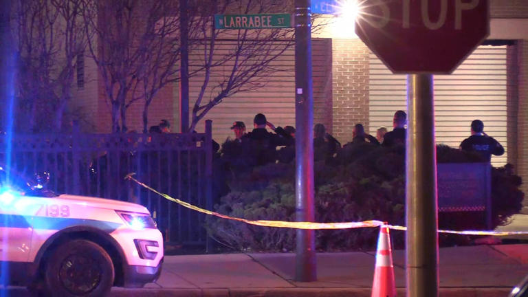Off-duty Chicago police officer dies of self-inflicted gunshot wound inside station: sources