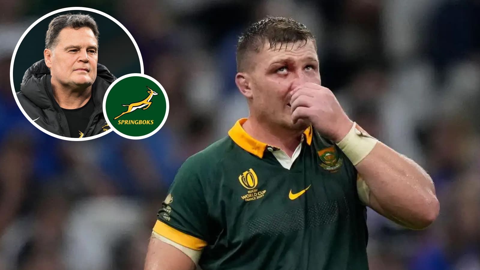 Concerning update for Rassie Erasmus as World Cup-winning Springbok ...